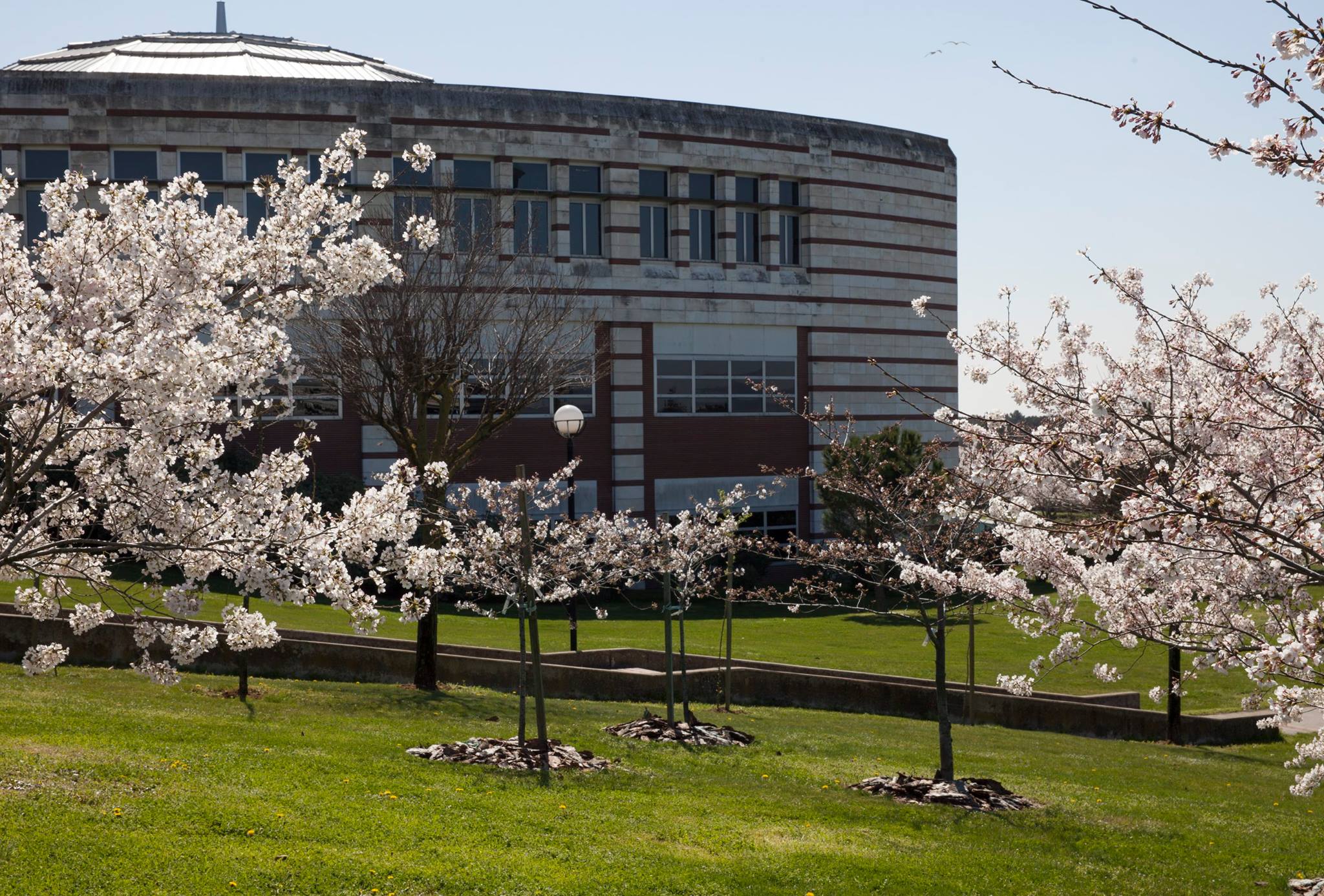 Sabancı Üniversitesi | Kampüs Gazete